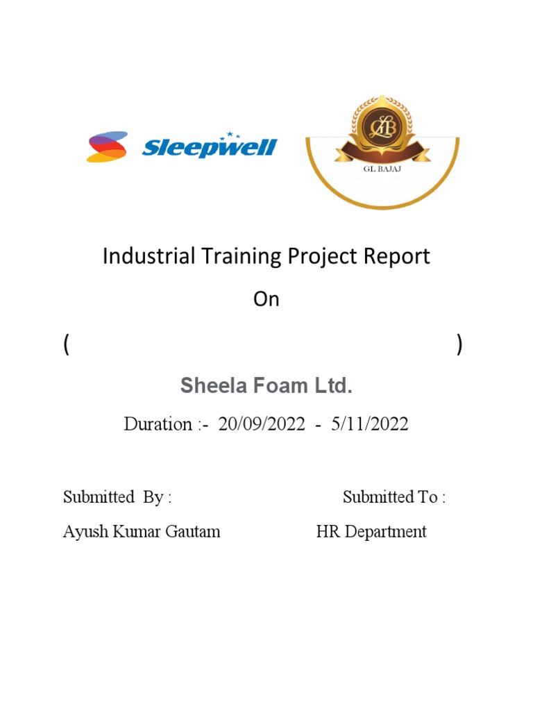 Industrial Training Project Report | PDF