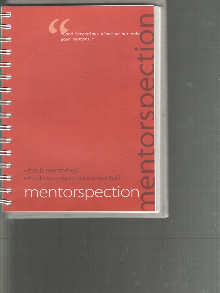 Ciie Iima Mentor Diary | PDF