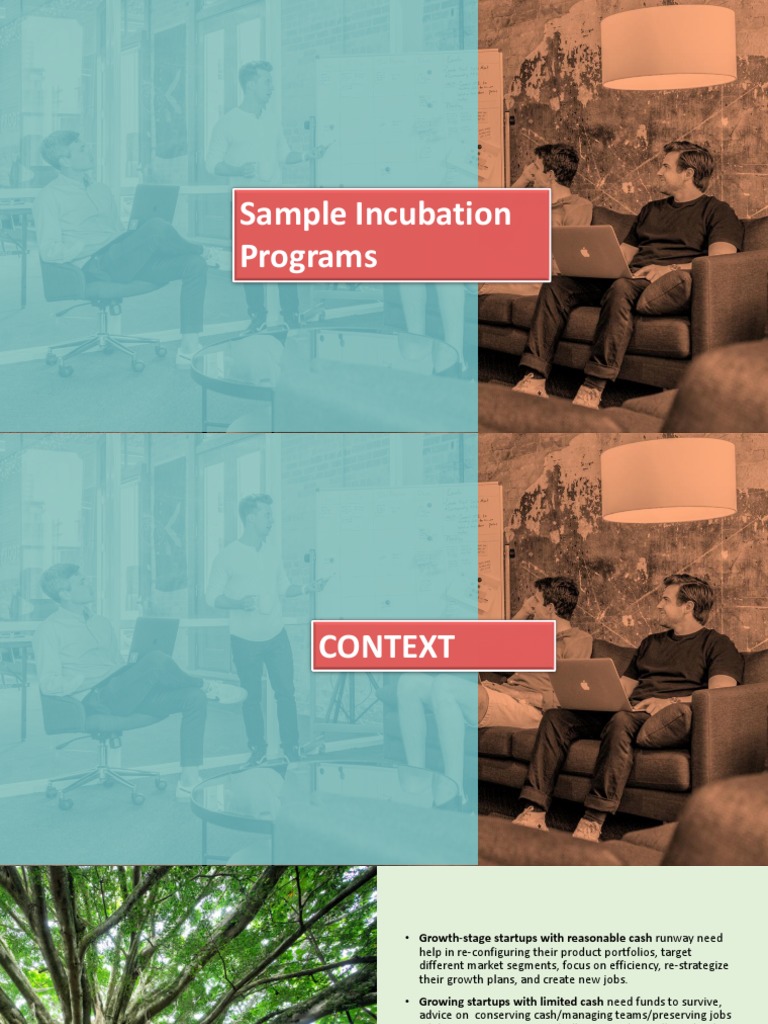 Incubation Program Samples | PDF | Startup Company | Small Business ...