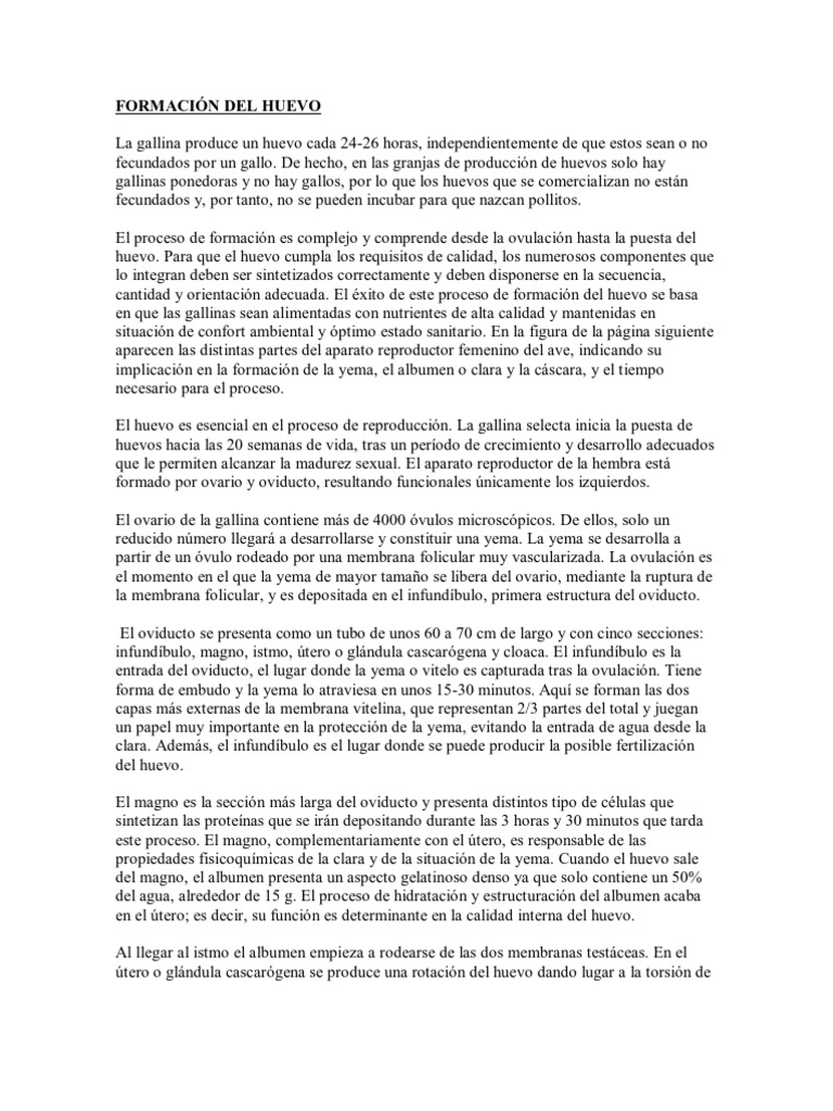 Formación Del Huevo | PDF | Huevo | Pollo