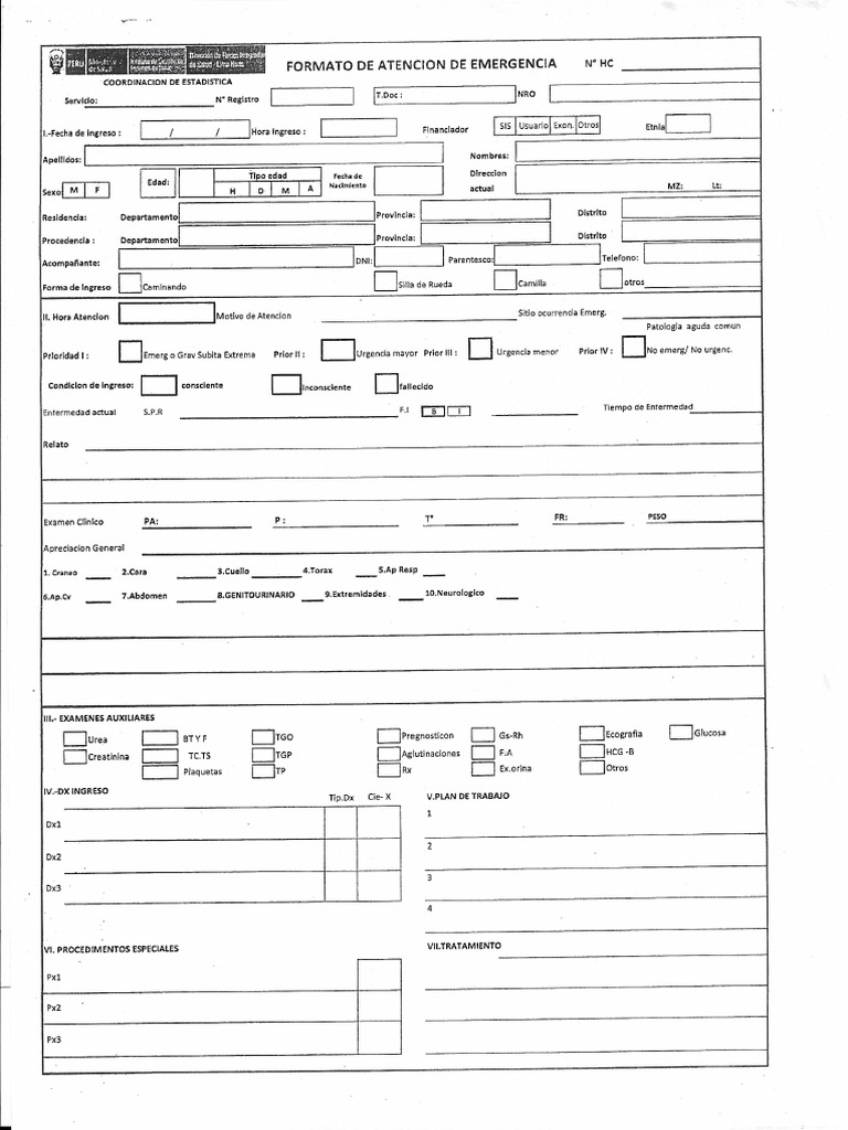 Formato de Atencion de Emergencia | PDF