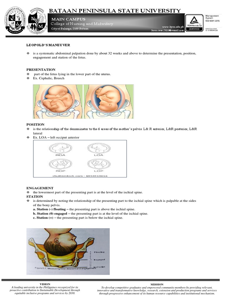 Determining Fetal Presentation, Position, Engagement and Station ...