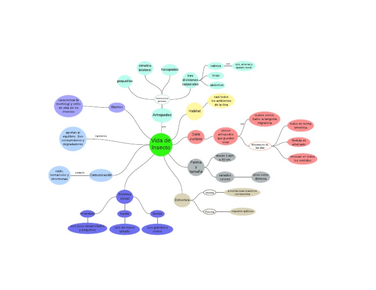 Mapa Artropodos. | PDF | Insectos | Libélula