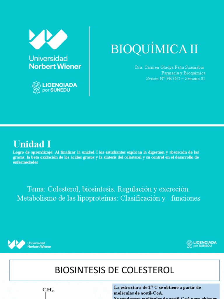 Clase 3 Bioquimica Ii | PDF | Lipoproteína | Triglicéridos