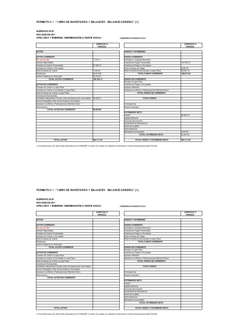 Formato3 1 - Libro Inventarios y Balances - Balance Gral | PDF | Activo fijo | Dividendo