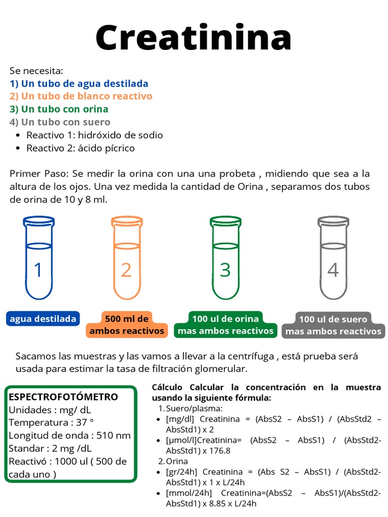 Reactivo de Creatinina y Fosforo | PDF | Orina | Creatinina