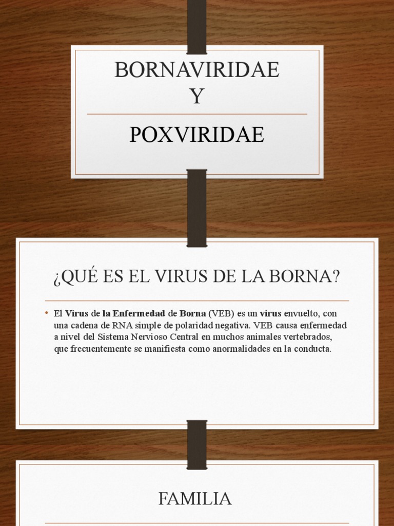 BORNAVIRIDAE Presentación 12 | PDF | Virus | Adn