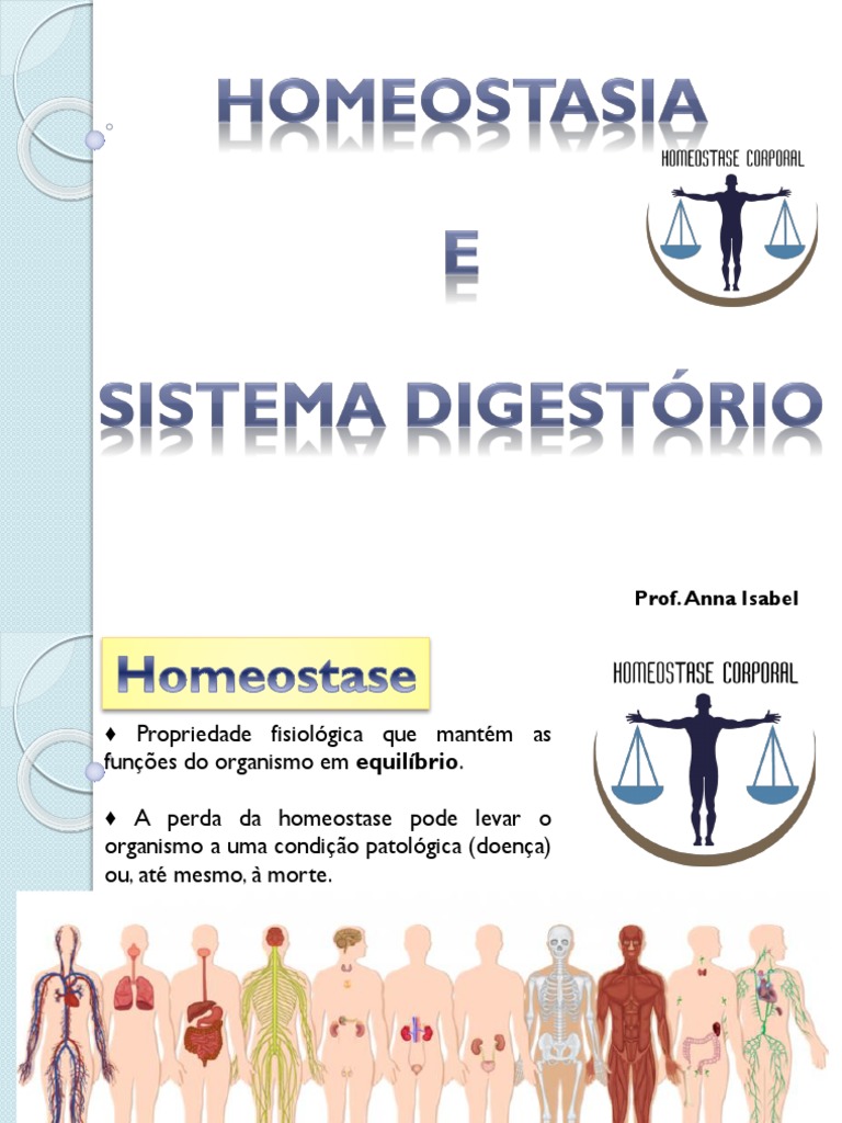 Aula 14 - Homeostase e Sistema Digestório | PDF | Intestino delgado ...