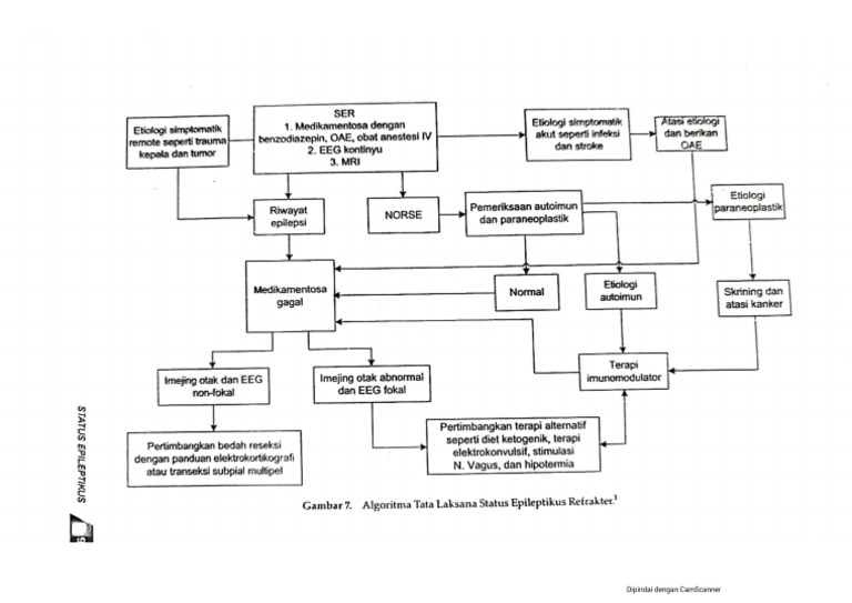Algoritma Tatalaksana Status Epilepstikus | PDF