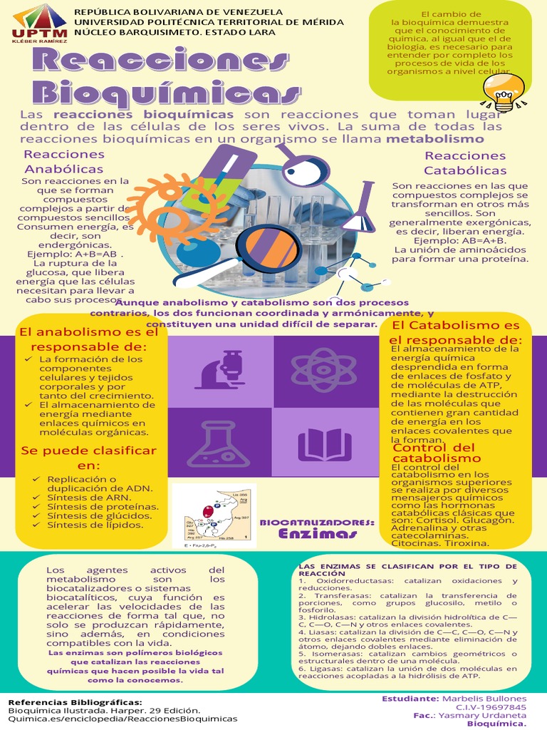 Reacciones Bioquimicas | PDF | Organismos | Metabolismo