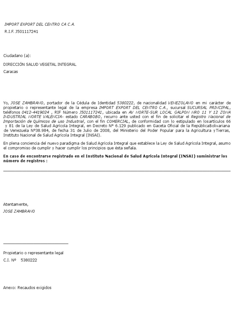 Sistema RUNSAI - INSAI | PDF