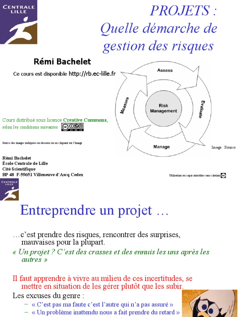 Gestion Des Risques Demarche | PDF | Risque | Gestion des risques