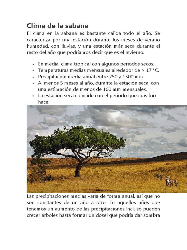 Clima de La Sabana | PDF | Clima | Arboles