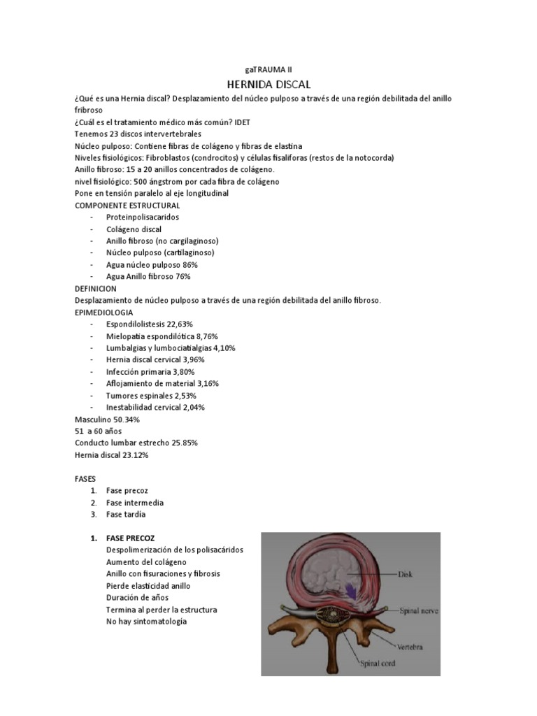 Trauma Ii | Descargar gratis PDF | Hombro | Rodilla