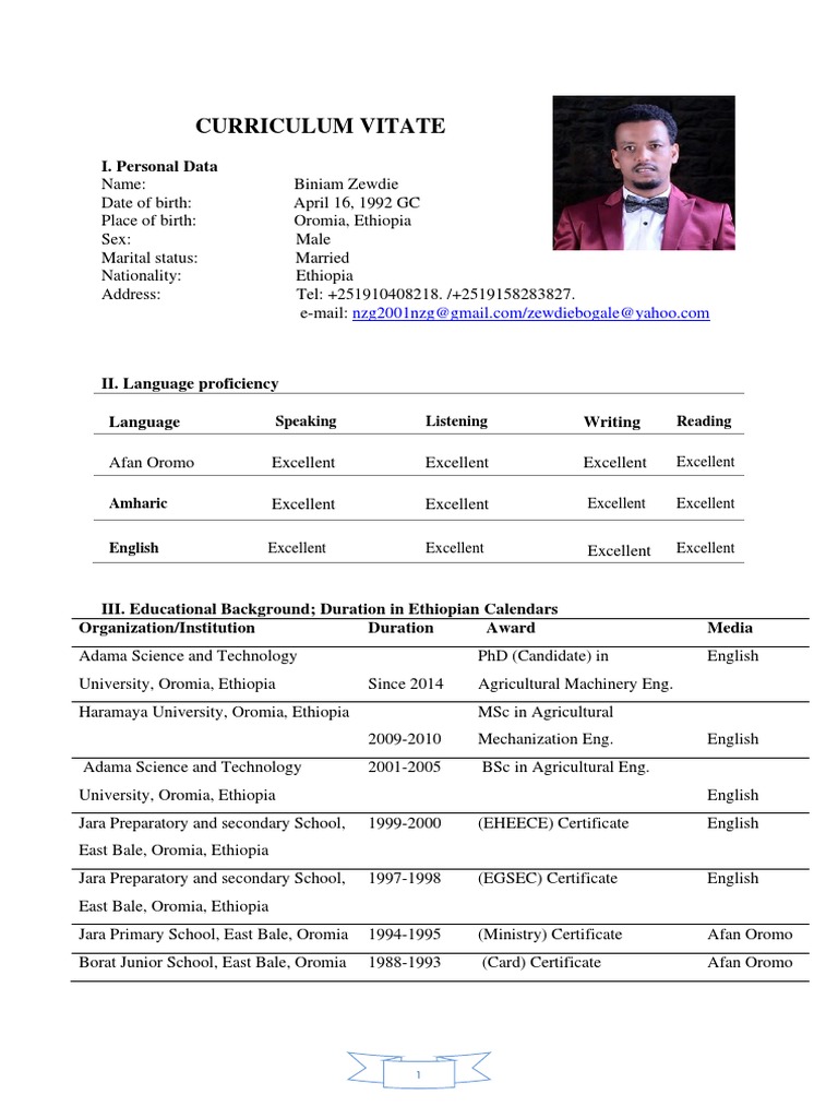CV - Biniam Zewdie | Download Free PDF | Ethiopia | Engineering