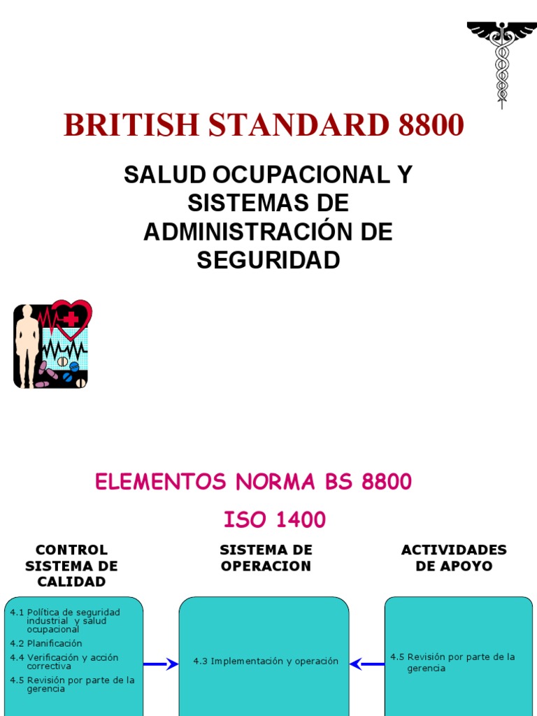 British Standard 8800: Salud Ocupacional Y Sistemas de Administración ...