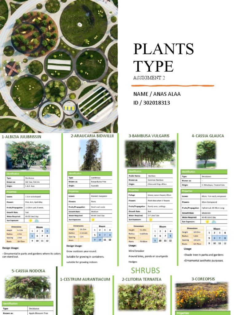 Plant Types and Characteristics Overview | PDF | Home & Garden