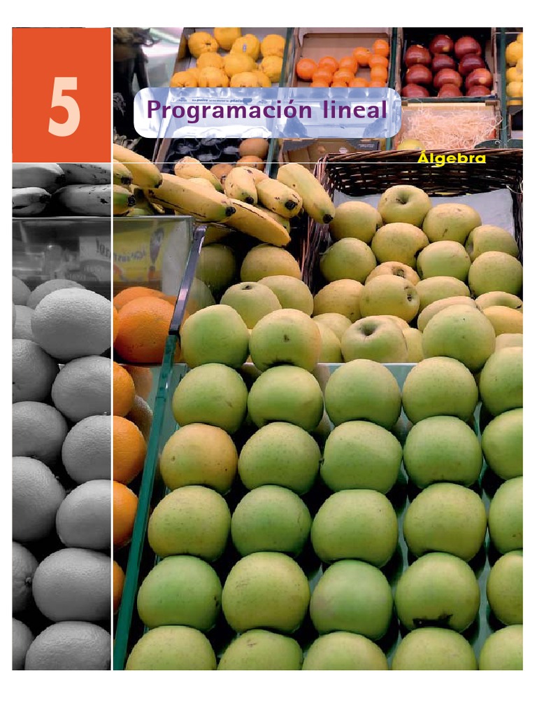 Libro Programacion Lineal | PDF | Programación lineal | Optimización ...