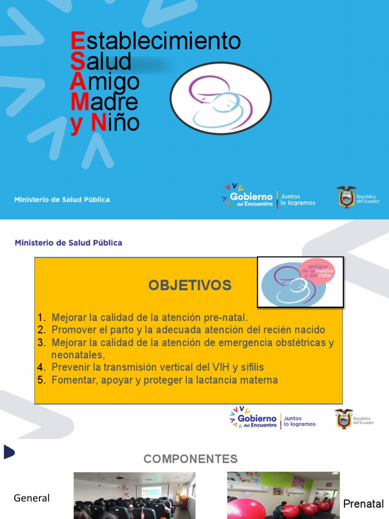 ESAMyN 2022 | Descargar gratis PDF | Parto | La salud de la mujer