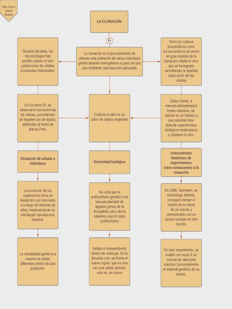 La Clonación | PDF | Biología Celular) | Clonación