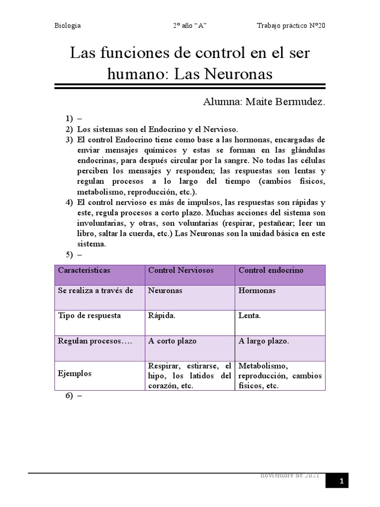 Las Funciones de Control en El Ser Humano | PDF | Ciencia y matemáticas