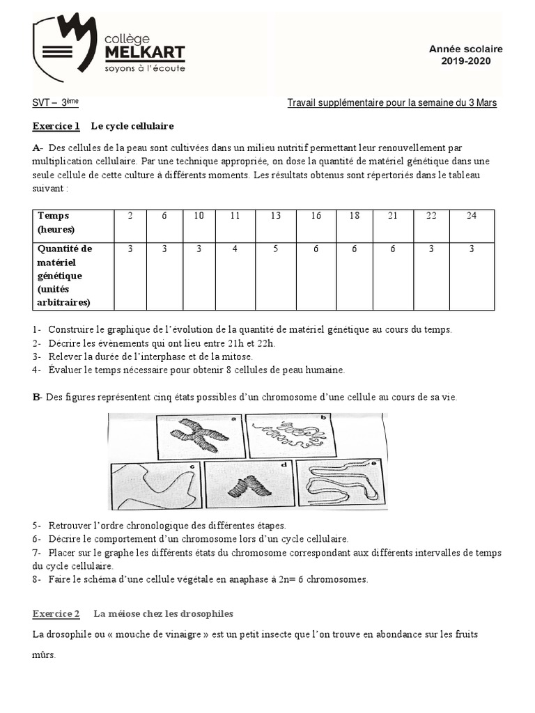 3e SVT | PDF | Allèle | Cellule (Biologie)