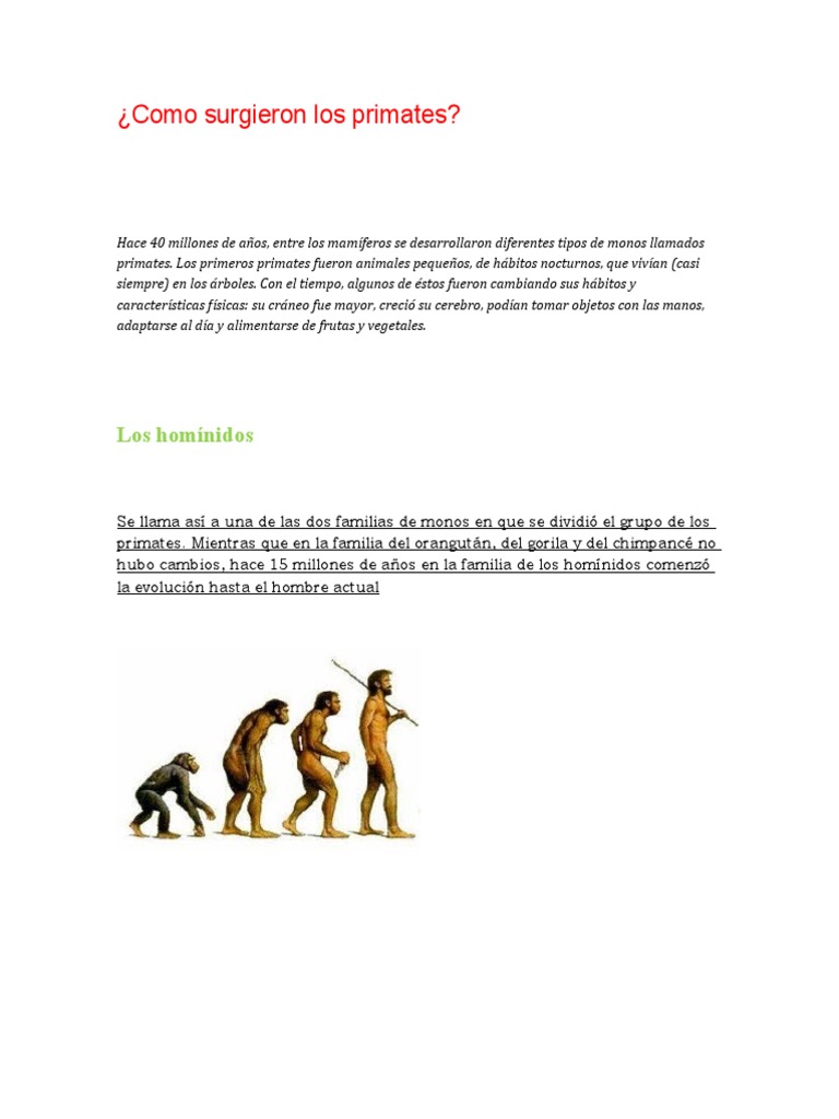 Como Surgieron Los Primates | PDF