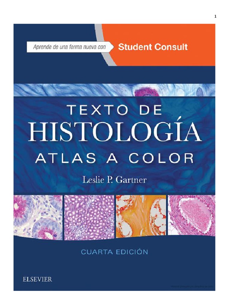 4ed Texto de Histologia Leslie P Gartner | PDF | Sistema digestivo ...