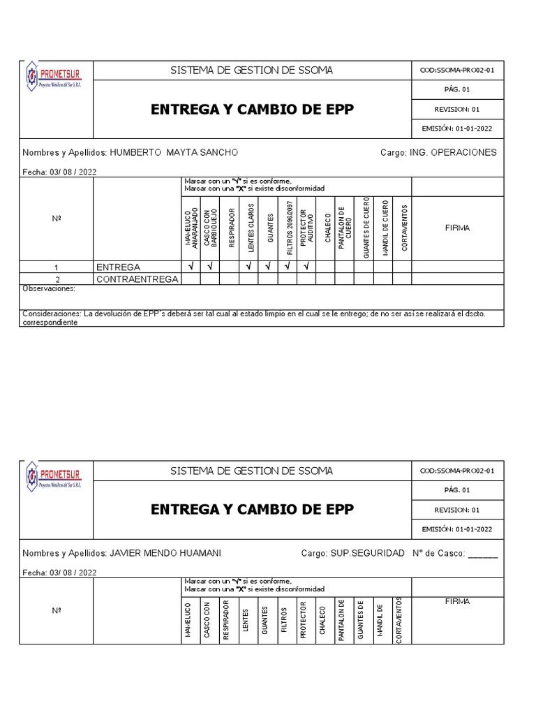 Entrega Epps Formato | PDF
