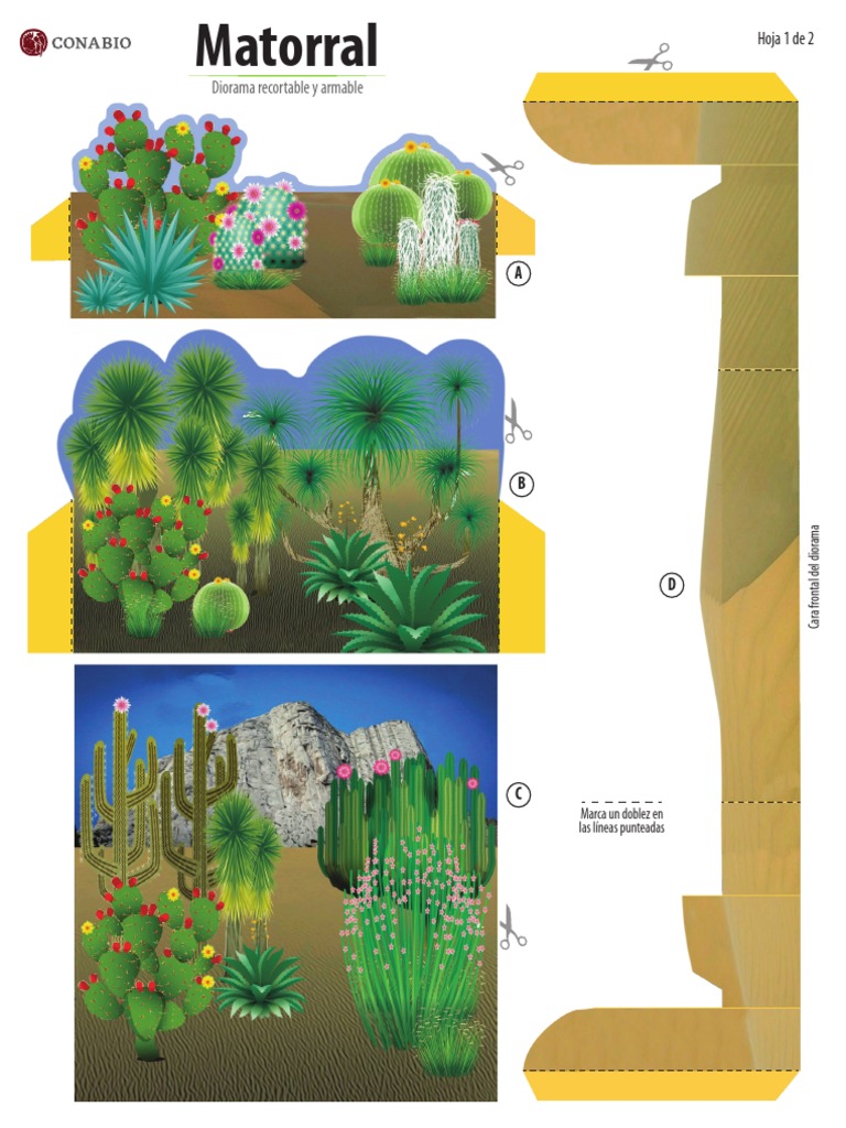 Diorama Matorral v3 | PDF