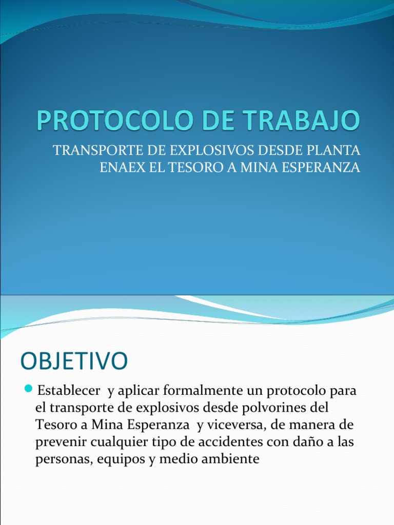 Protocolo de Trabajo | PDF