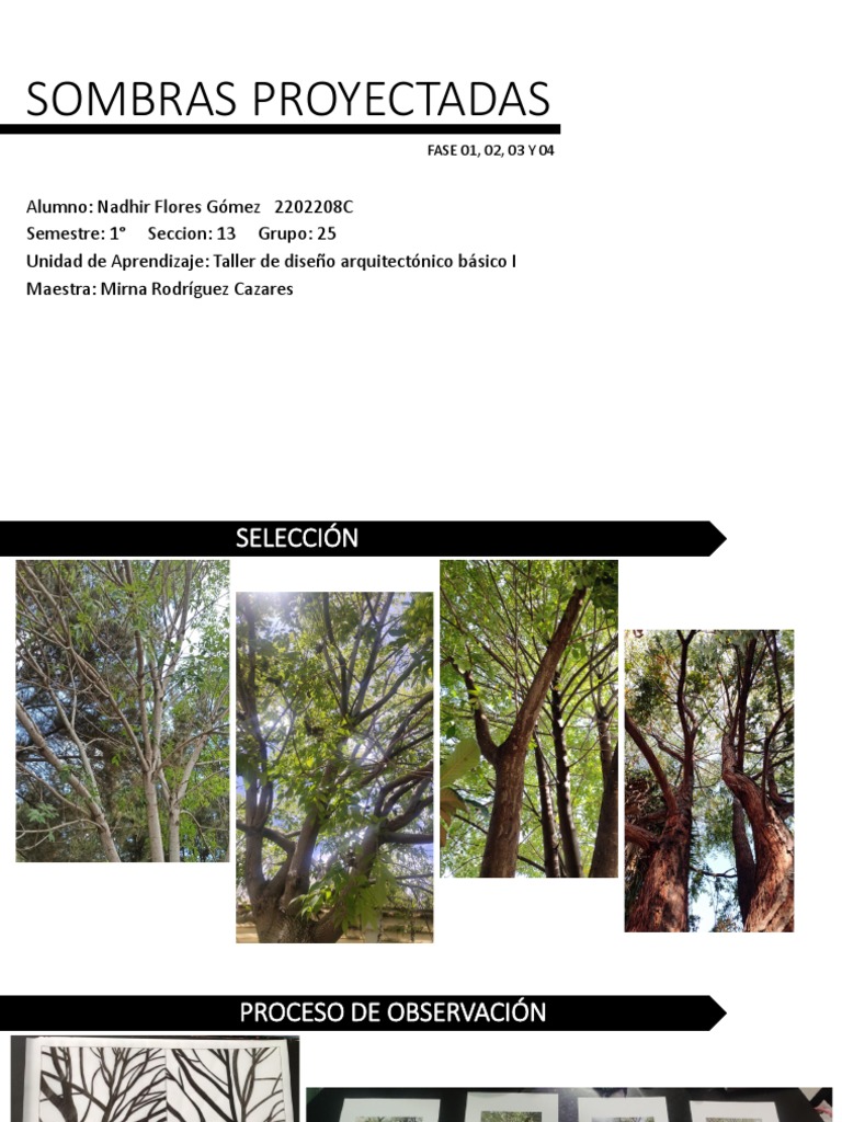 SOMBRAS PROYECTADAS Chafaa | PDF
