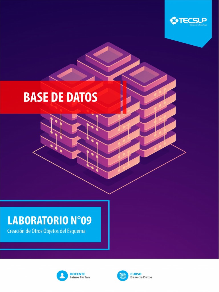 Lab 09 Creacion de Otros Objetos Del Esquema PDF | Descargar gratis PDF | Bases de datos | SQL