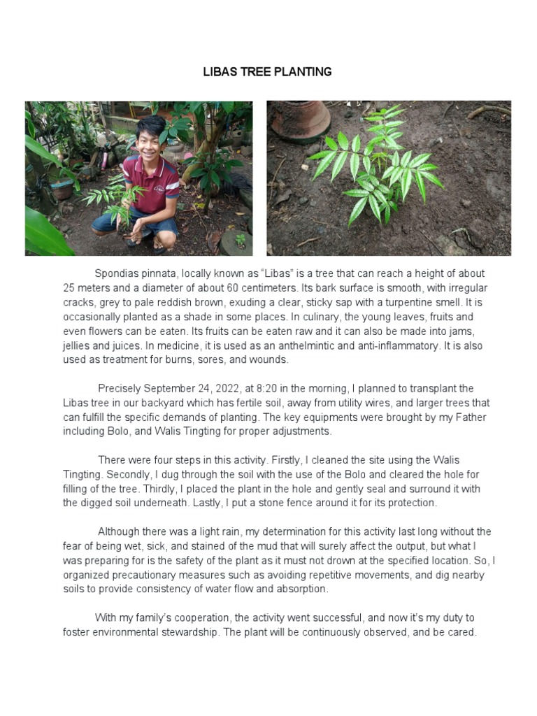 Libas Tree Planting | PDF