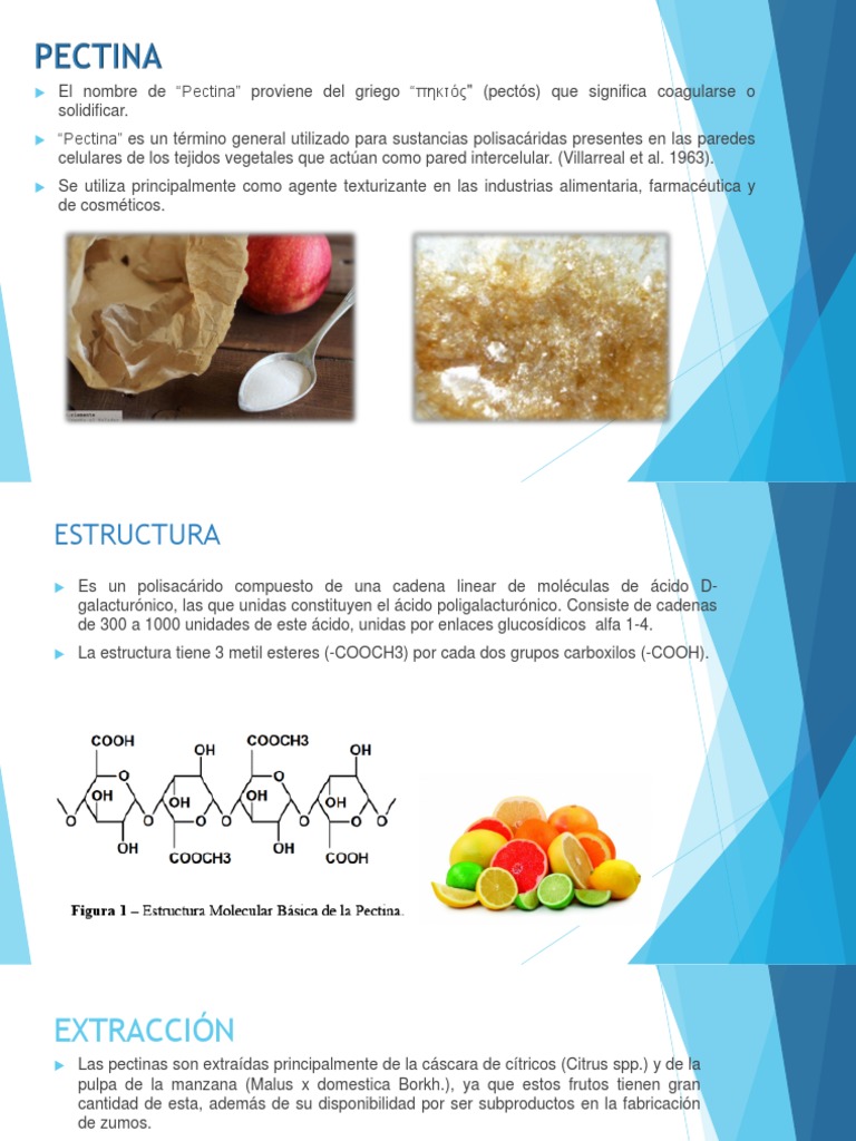 Pectina: Estructura y Usos Funcionales | PDF | Alimentos | Ester