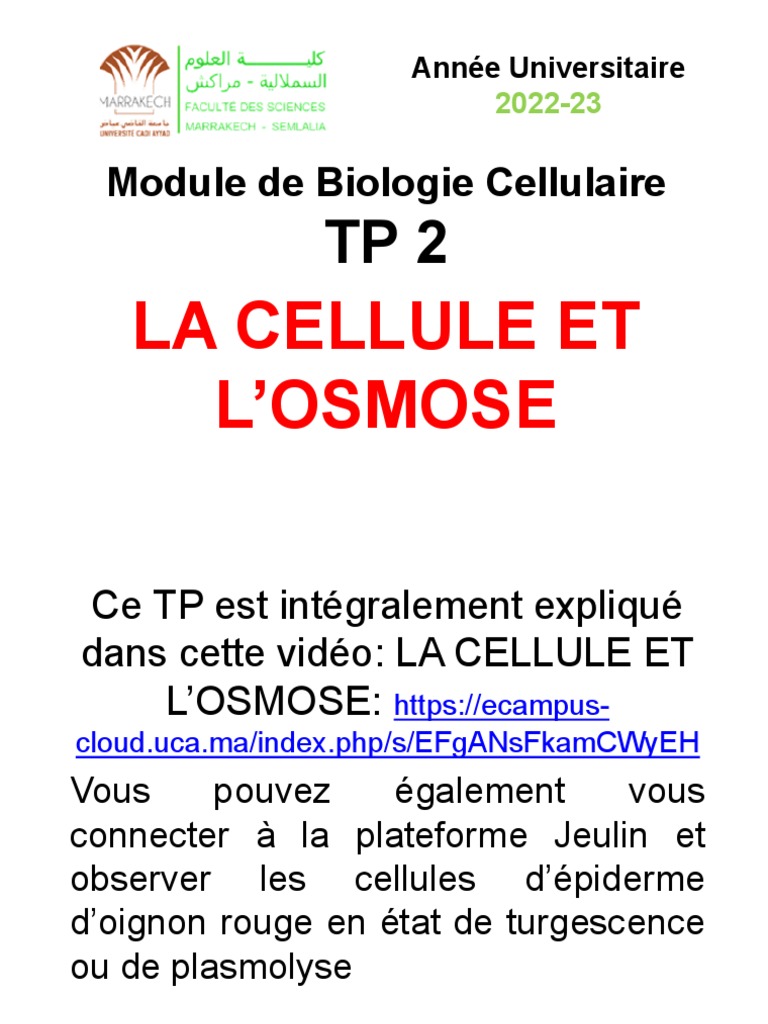 Turgescence et plasmolyse en cellules | PDF | Osmose | Vacuole