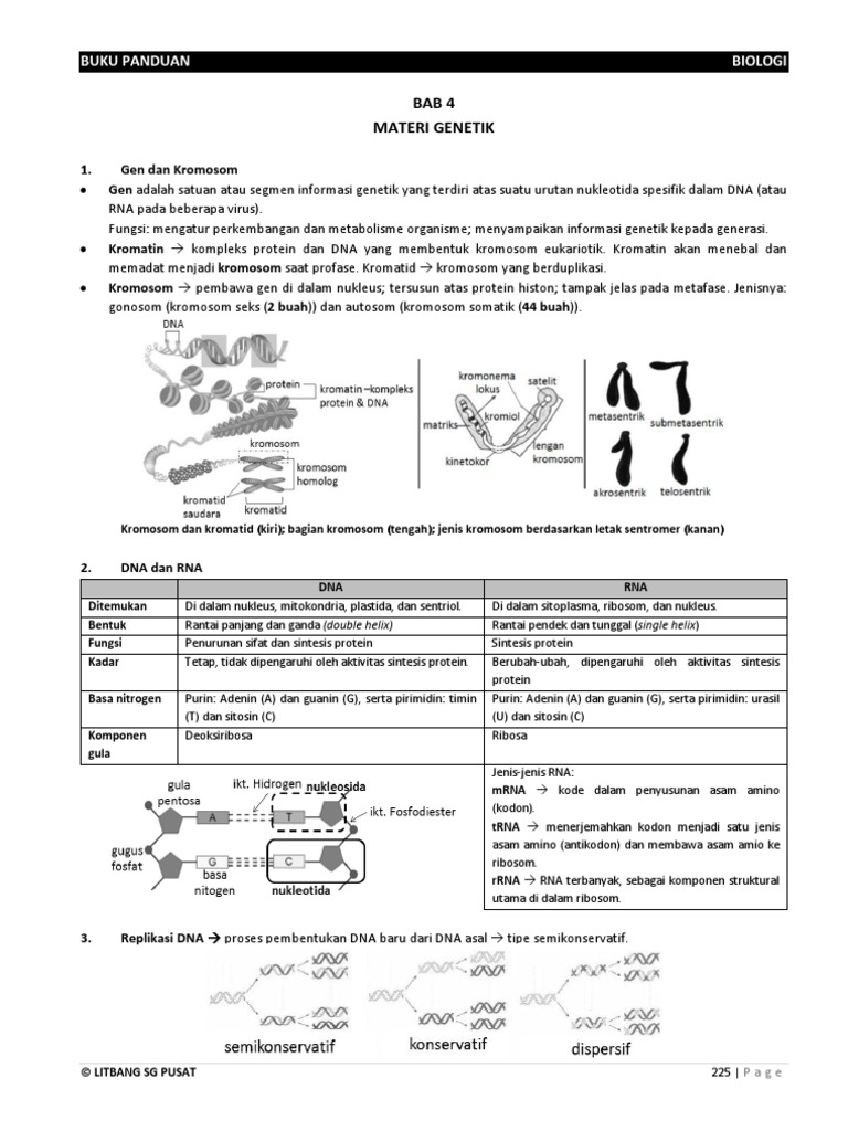 Substansi Genetik | PDF