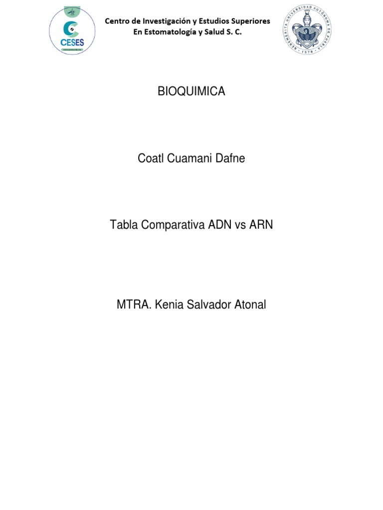 Tabla Comparativa ADN y ARN | PDF | Rna | Adn