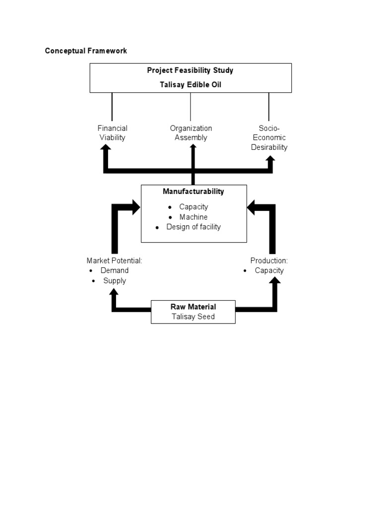 FS Conceptual Framework | PDF