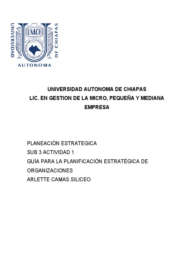 Act 1 Sub 3 Guía para La Planificación Estratégica de Organizaciones S | PDF | Planificación ...