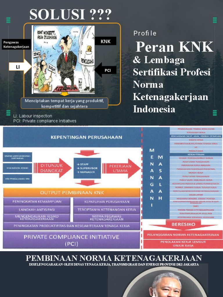 Sertifikasi Profesi Dan KNK | PDF
