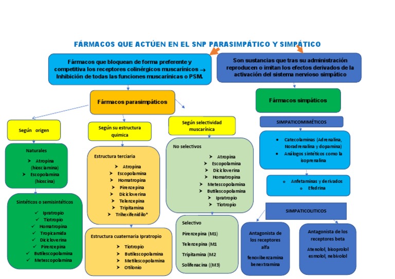 Mapa Conceptual Fármacos Que Actúen en El SNP Parasimpático y Simpático ...