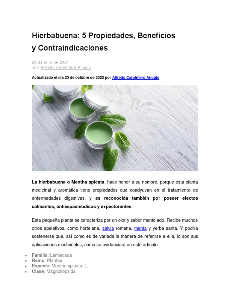 Propiedades Y Beneficios De La Hierbabuena Pdf Ciencias De La Salud