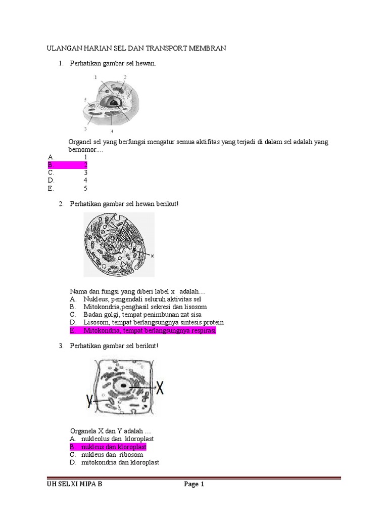 Uh Sel Xi Mipa B - Kaila Callysta | PDF