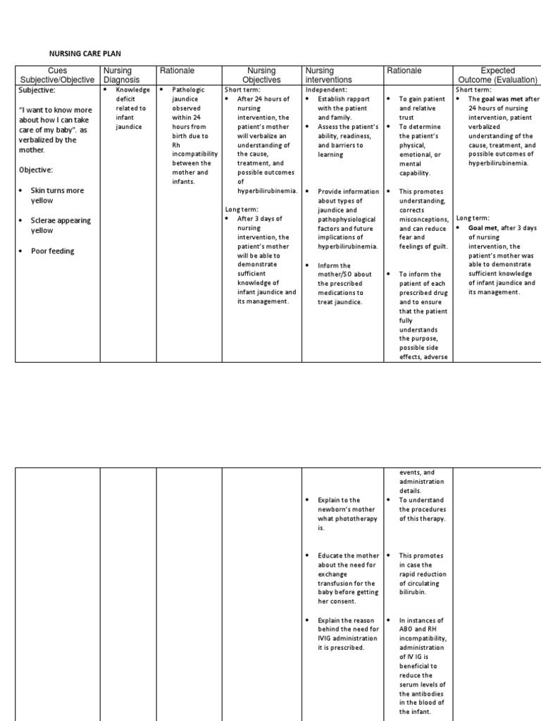 Nursing Care Plan | PDF | Diseases And Disorders | Clinical Medicine