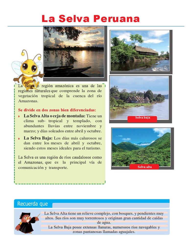 La Selva Peruana | PDF | Selva | Perú