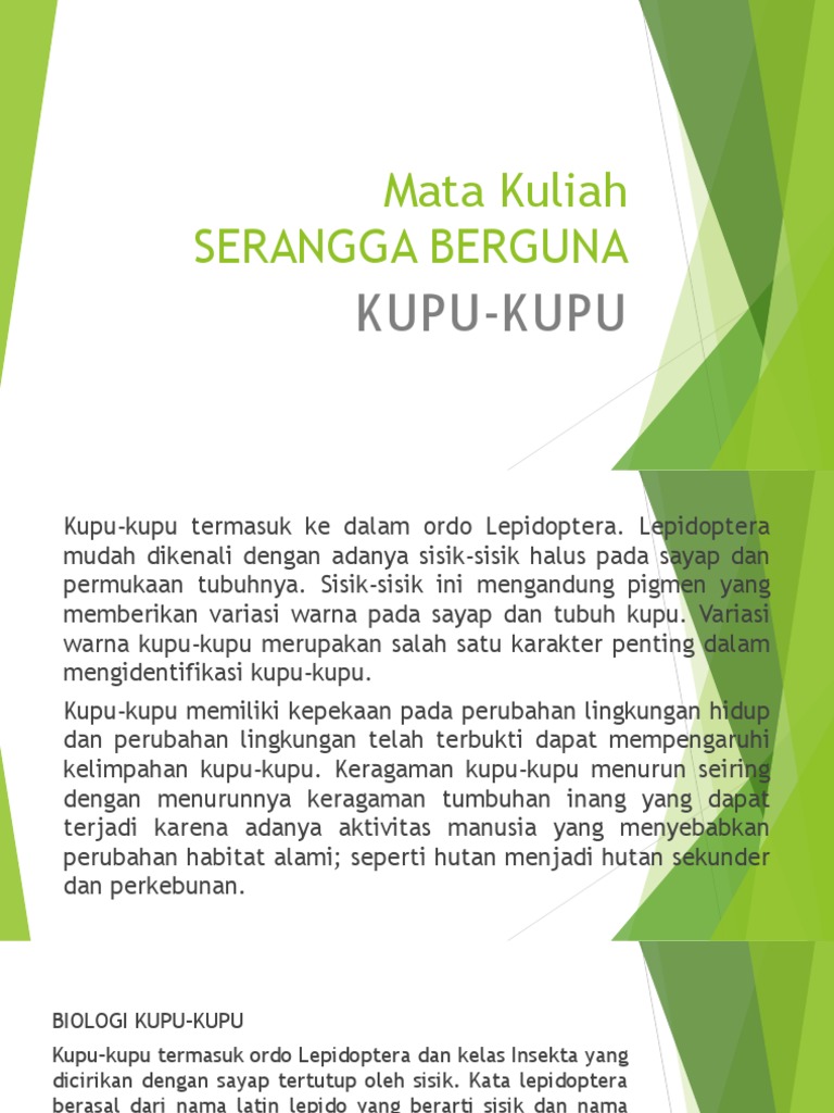 Pertemuan Ketiga Kupu-Kupu | PDF