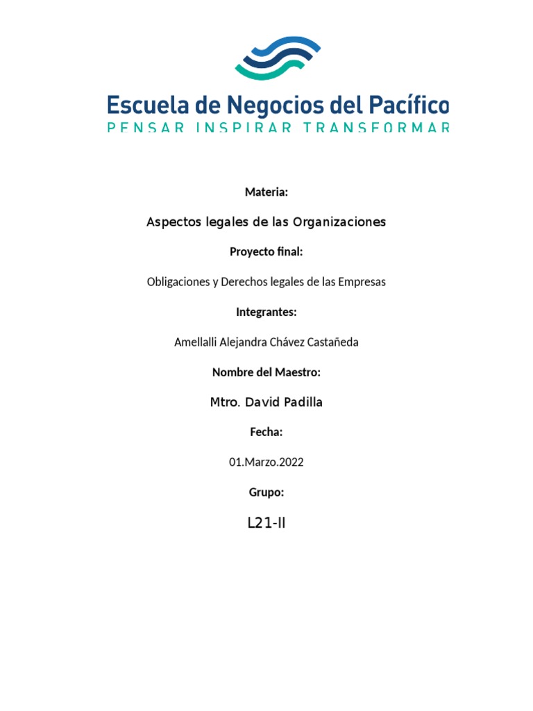 Chavez Casta Eda Amellalli Alejandra Proyecto Final | PDF | Business