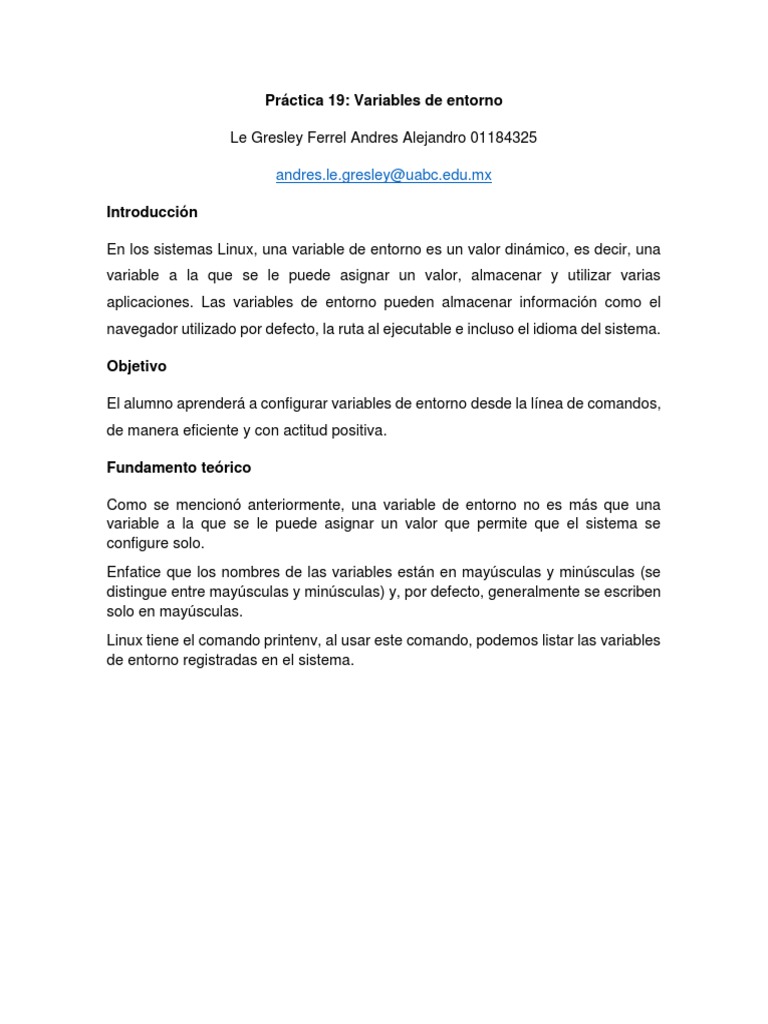 Práctica 19 | PDF | Programación de computadoras | Desarrollo de software