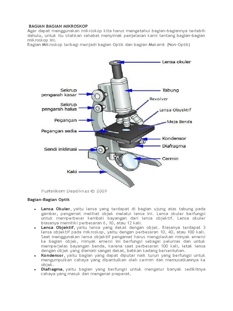Bagian Bagian Mikroskop | PDF